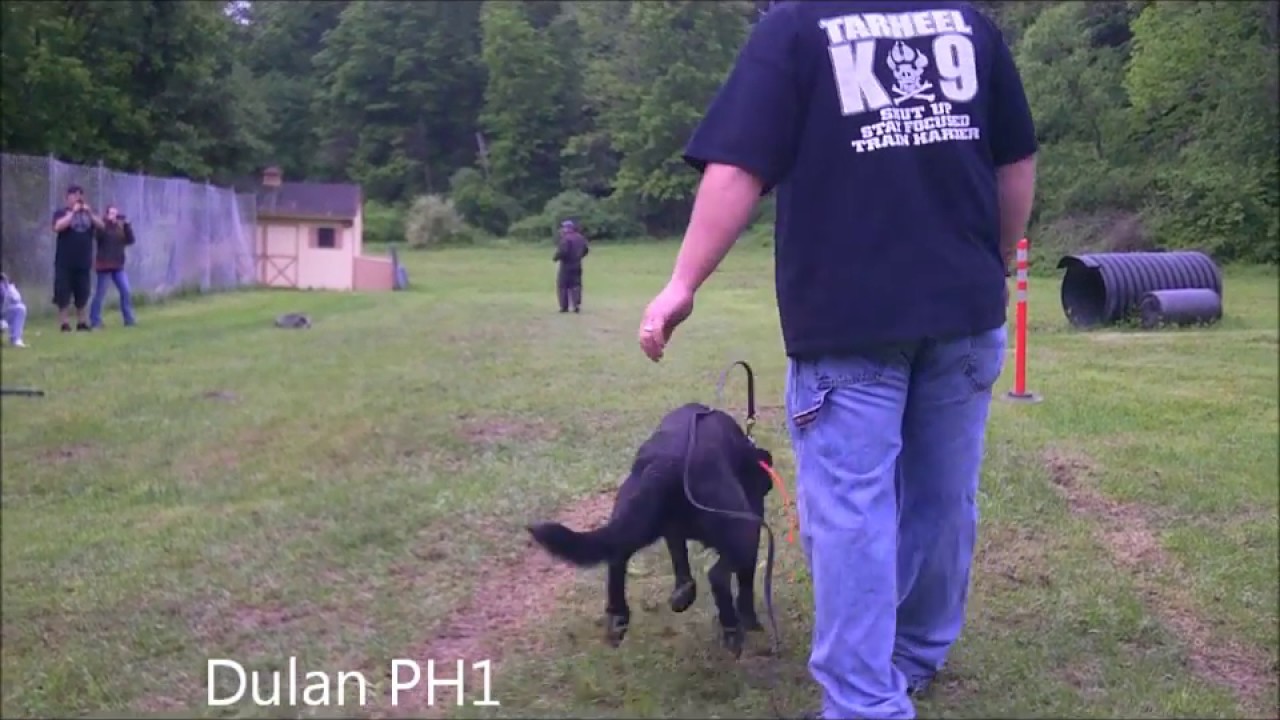 2011 East Coast PSA Decoy Camp 2, New Jersey - YouTube