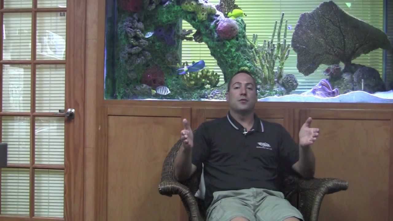 Fish Guy TV Customer Service - YouTube