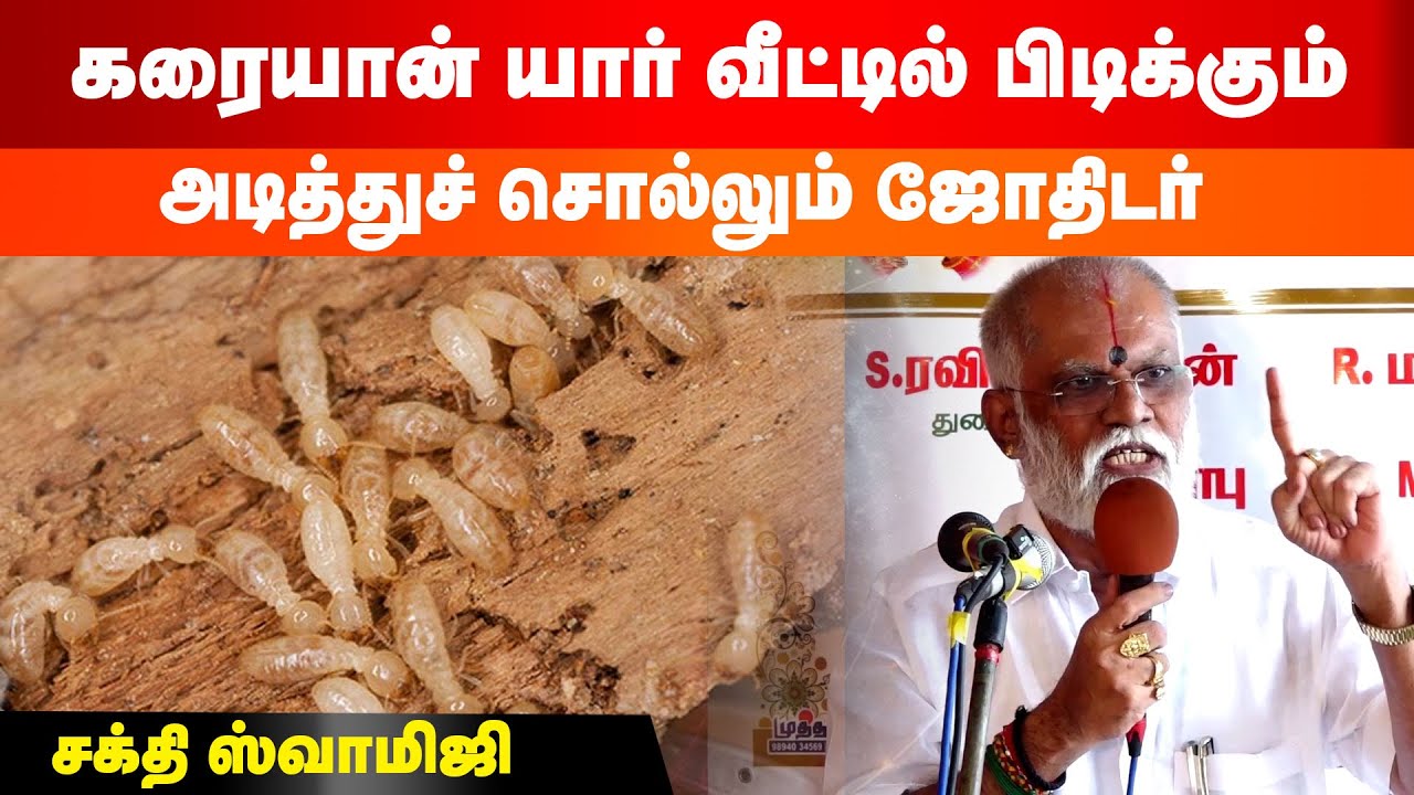கரையான் யார் வீட்டில் பிடிக்கும் | Karaiyan | Sri Sakthi Jothidam ...