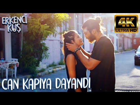 Rüyalarda Buluşuruz (4K ULTRA HD) | Erkenci Kuş