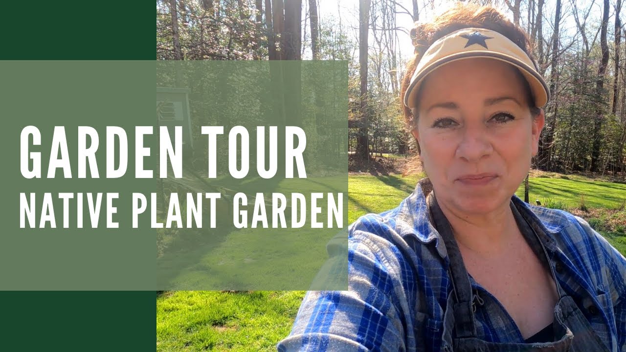 Garden Tour - April 11 - Native Plant Sun Garden Beds - YouTube