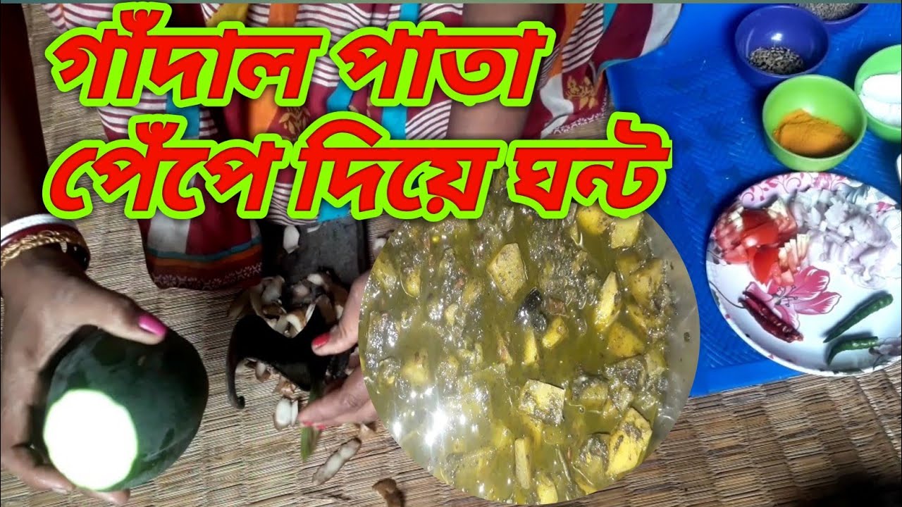 Gadal Pata Recipe Bengali || Gadal Pata Benefits || Healdy Gadal Pata ...