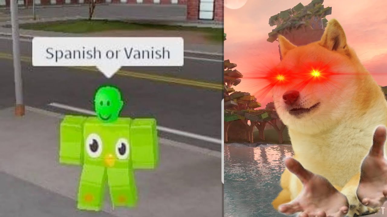 Doge reacts to Roblox Memes - YouTube
