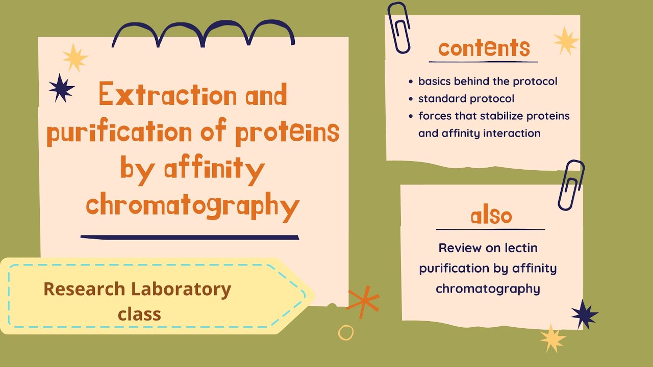Extraction & Purification of proteins by Affinity chromatography - YouTube