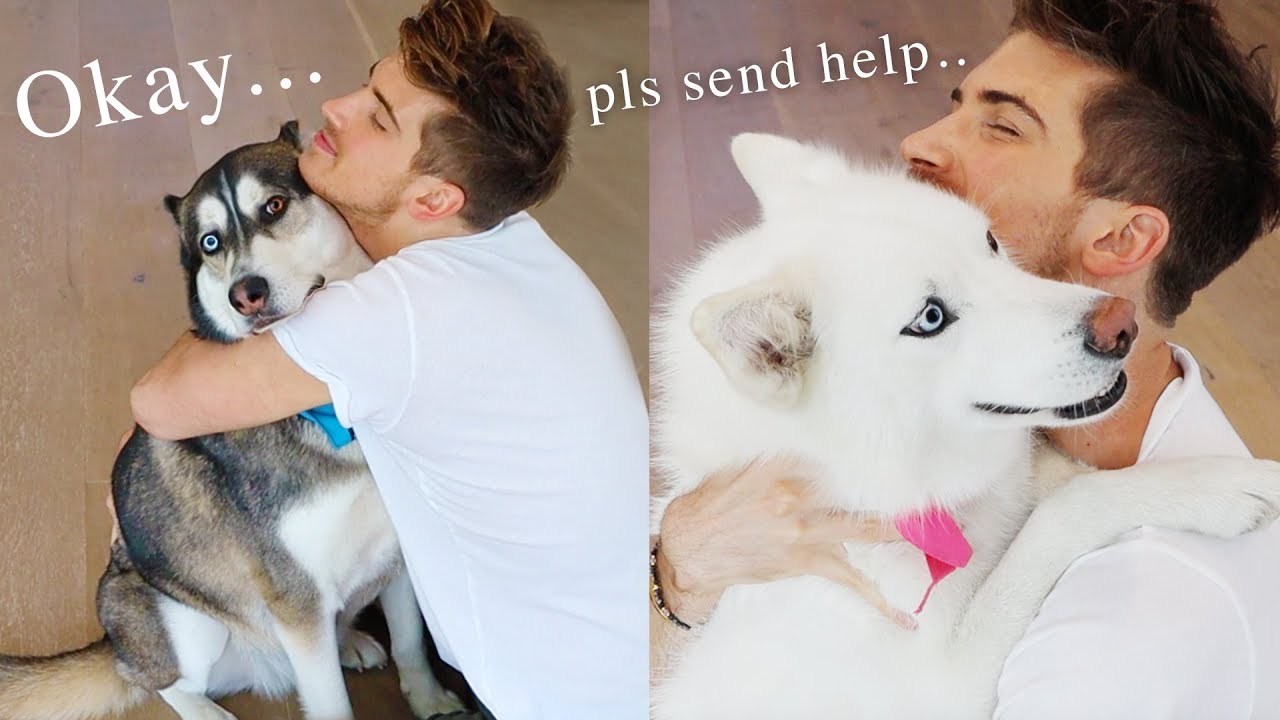 Hugging my dogs for too long (Funny Reaction) - YouTube