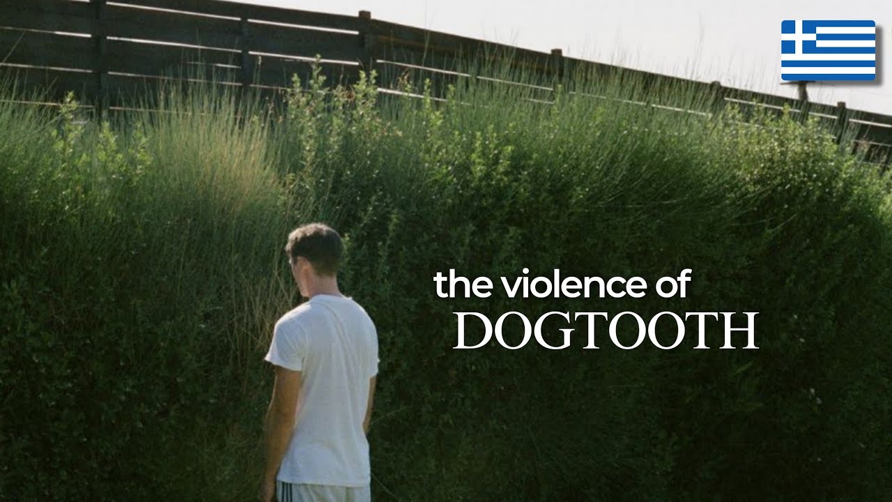 Dogtooth - Fly Me to the Moon - YouTube