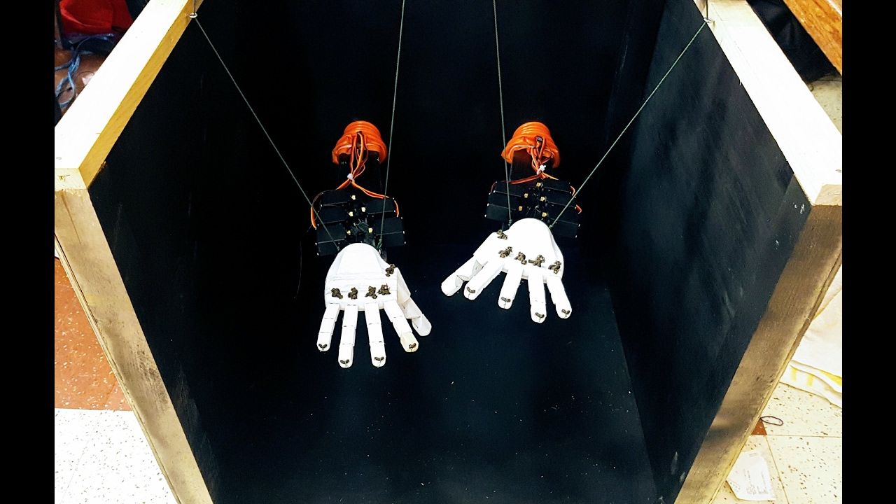 SignBot Hand Mirroring Demo - YouTube