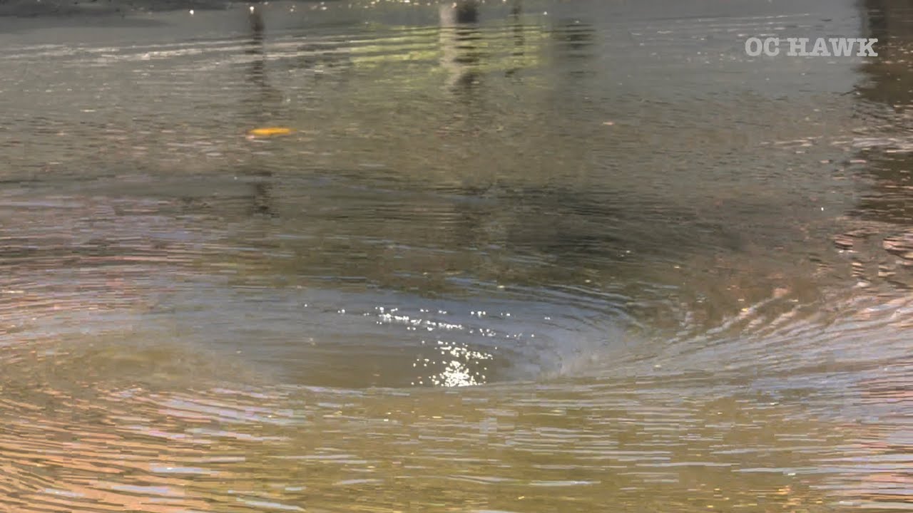 Sheared Fire Hydrant Floods Parking Lot - YouTube
