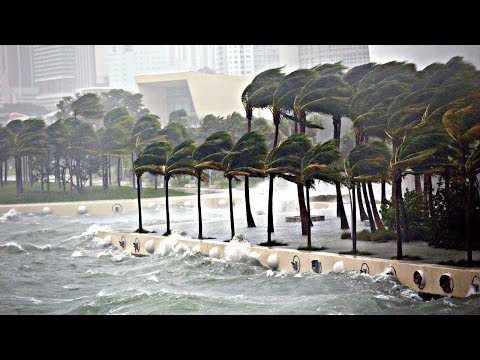 SURVIVING Hurricane Irma...and the AFTERMATH
