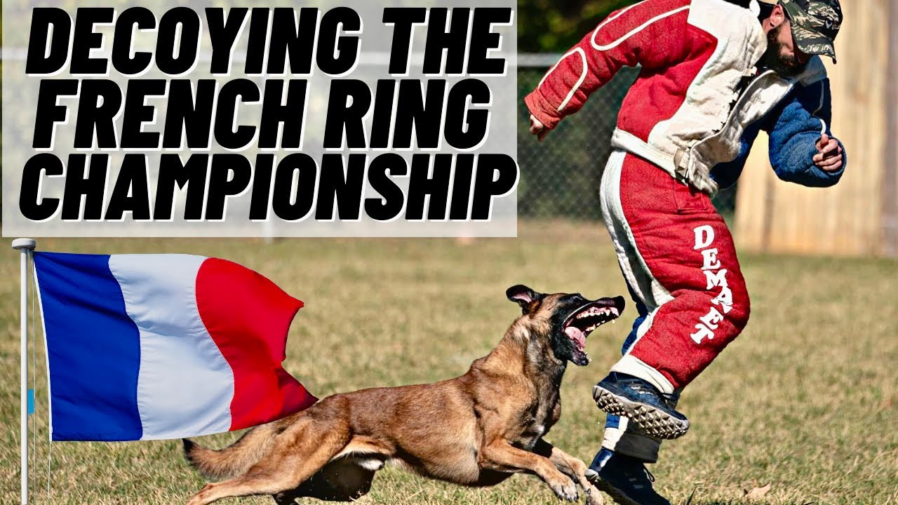 🏆 I Decoyed The French Ring Championship! 🏆 + LIVE Q&A! - YouTube