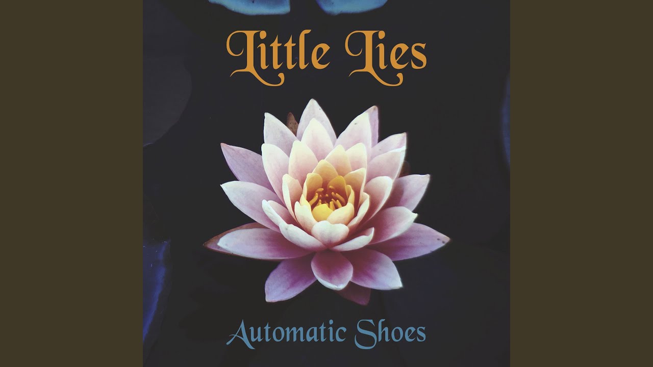 Little Lies (Cover) - YouTube
