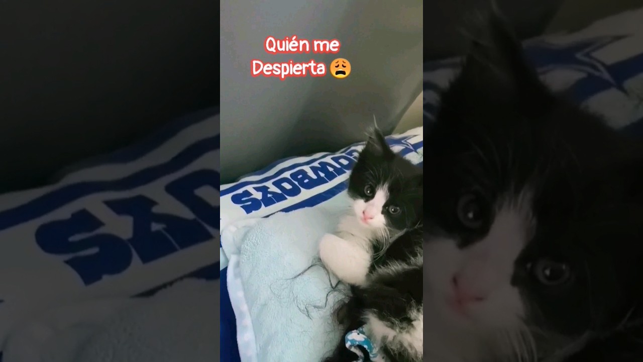 Kira Michis quien la despierta 😩 - YouTube