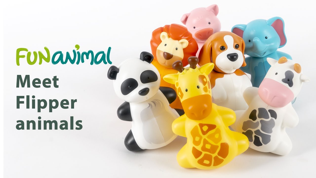 Flipper Fun Animal | Cute Animals Make Your Day! - YouTube