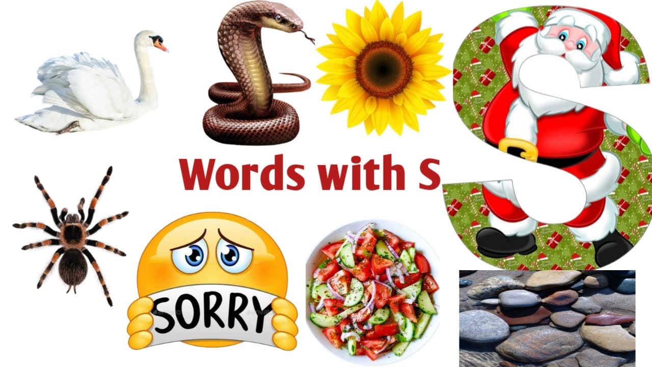 Words that start with letter S/S for/things made from S/educational ...