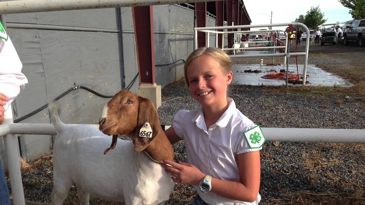 Goat Girls - YouTube