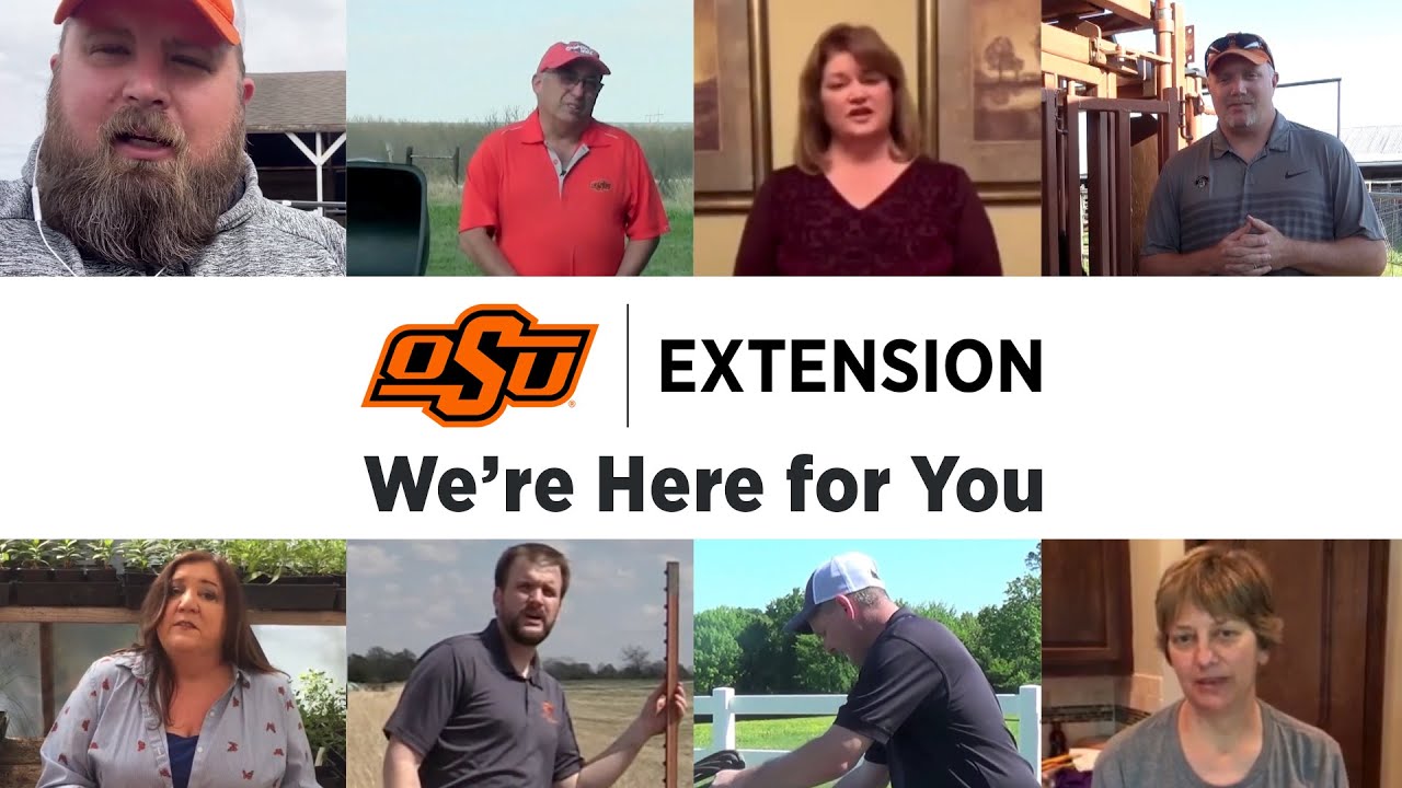 OSU Extension: We’re Here for You - YouTube