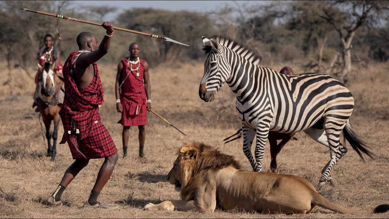 Unbelievable Courage! Maasai Warrior Saves Wild Horse from a Ferocious ...