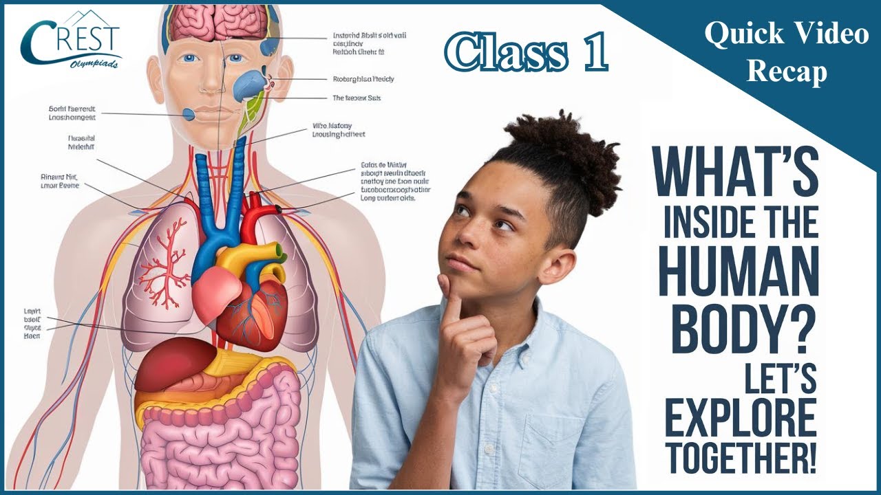 Human Body Topic for Class 1 | Science Olympiad Preparation - YouTube