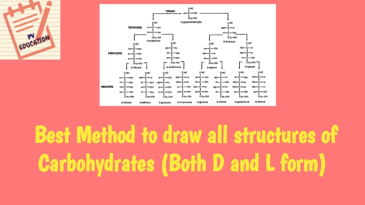 Best method for drawing structures of Aldoses| (Carbohydrates)| Fischer ...