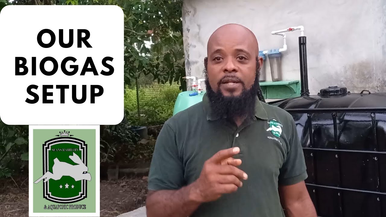 Trinidad Rabbit Farming - Our Biogas Setup - YouTube