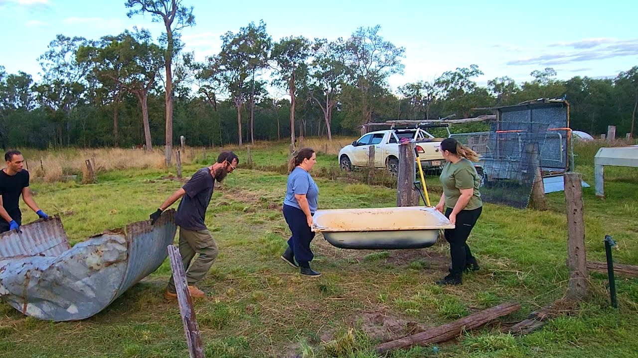 Spring Cleaning the Farm - Paddocks, Sheds & Fixing The Lawn Mower ...