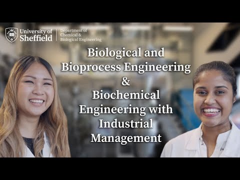 Biological & Bioprocess Engineering and Biochemical Engineering with ...