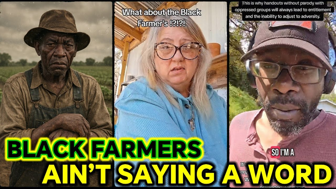 White MAGA Farmers Are Panicking While Black Farmers Are Keeping Their ...