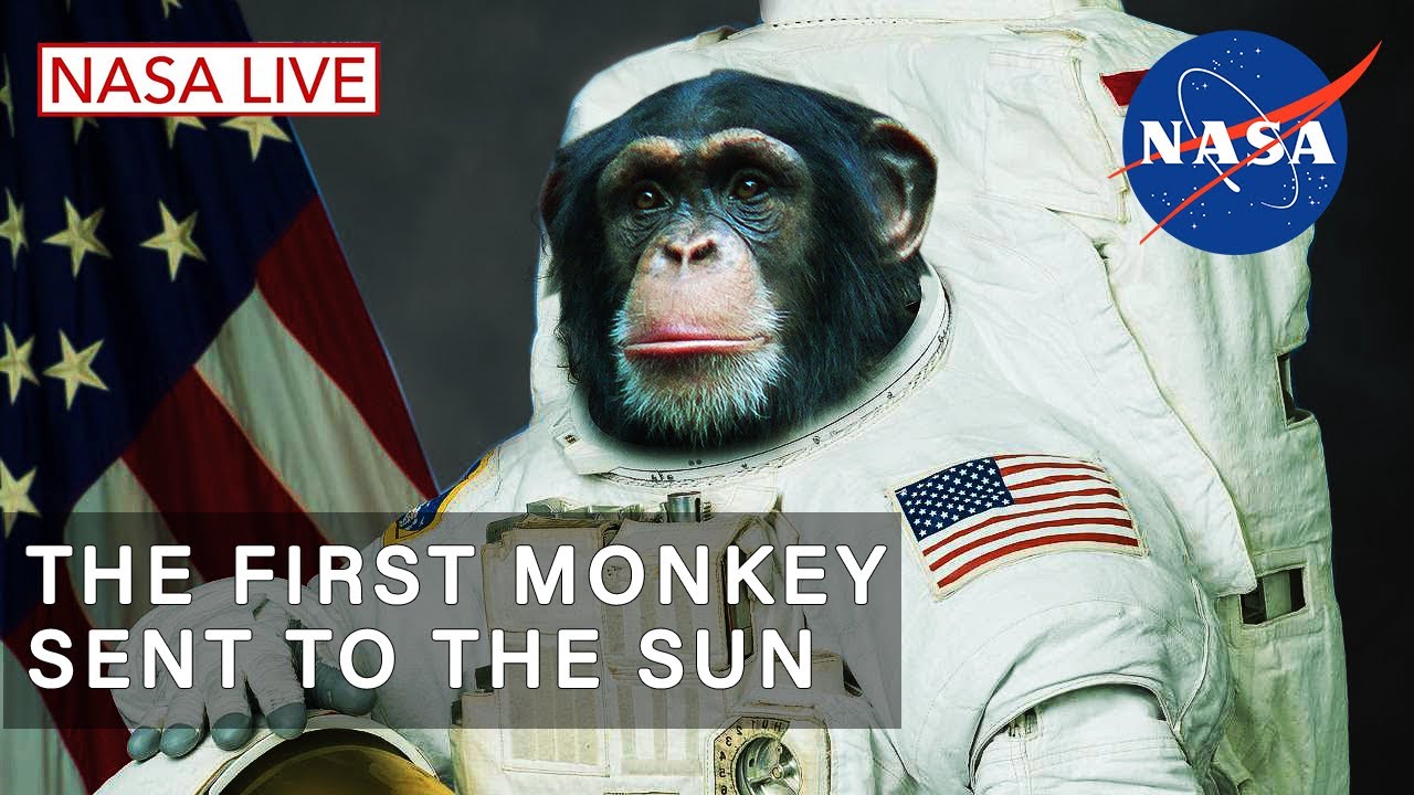 NASA Sends Monkey to the SUN - YouTube