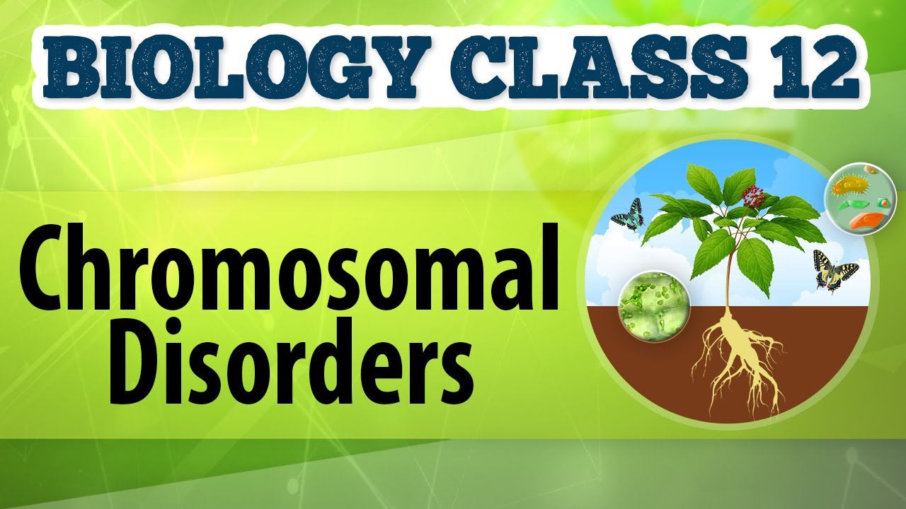 Chromosomal disorders - Chromosomal Basis of Inheritance - Biology ...