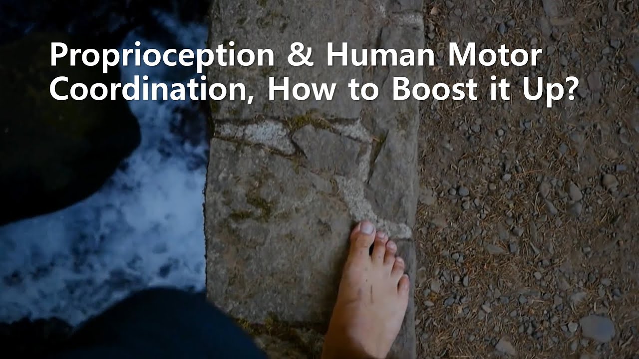 Proprioception & Human Motor Coordination, How to Boost It Up? - YouTube