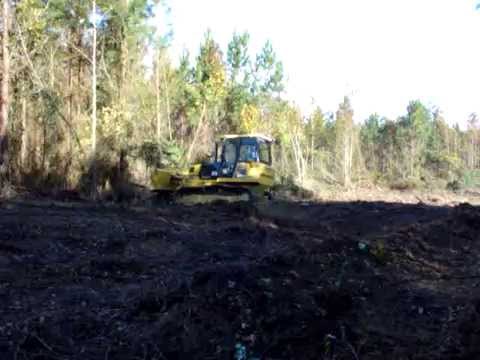 Dozer Knocking Down Trees - YouTube