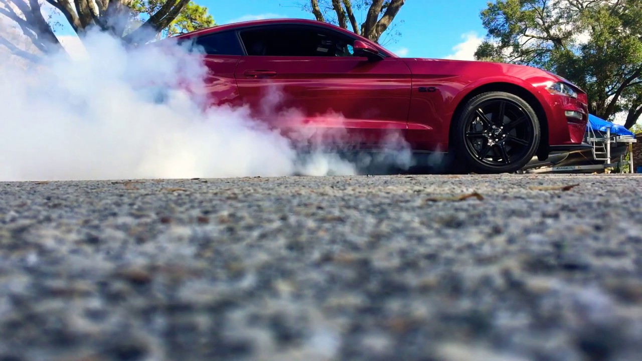 BEST BURNOUT 2019 Ford Mustang GT 5.0 - YouTube