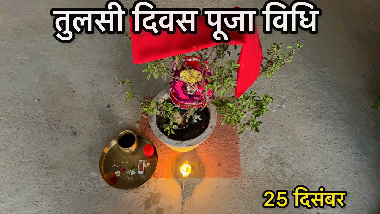 25 December Tulsi Divas Puja Vidhi | Tulsi Puja Kaise Karen Ghar Par ...