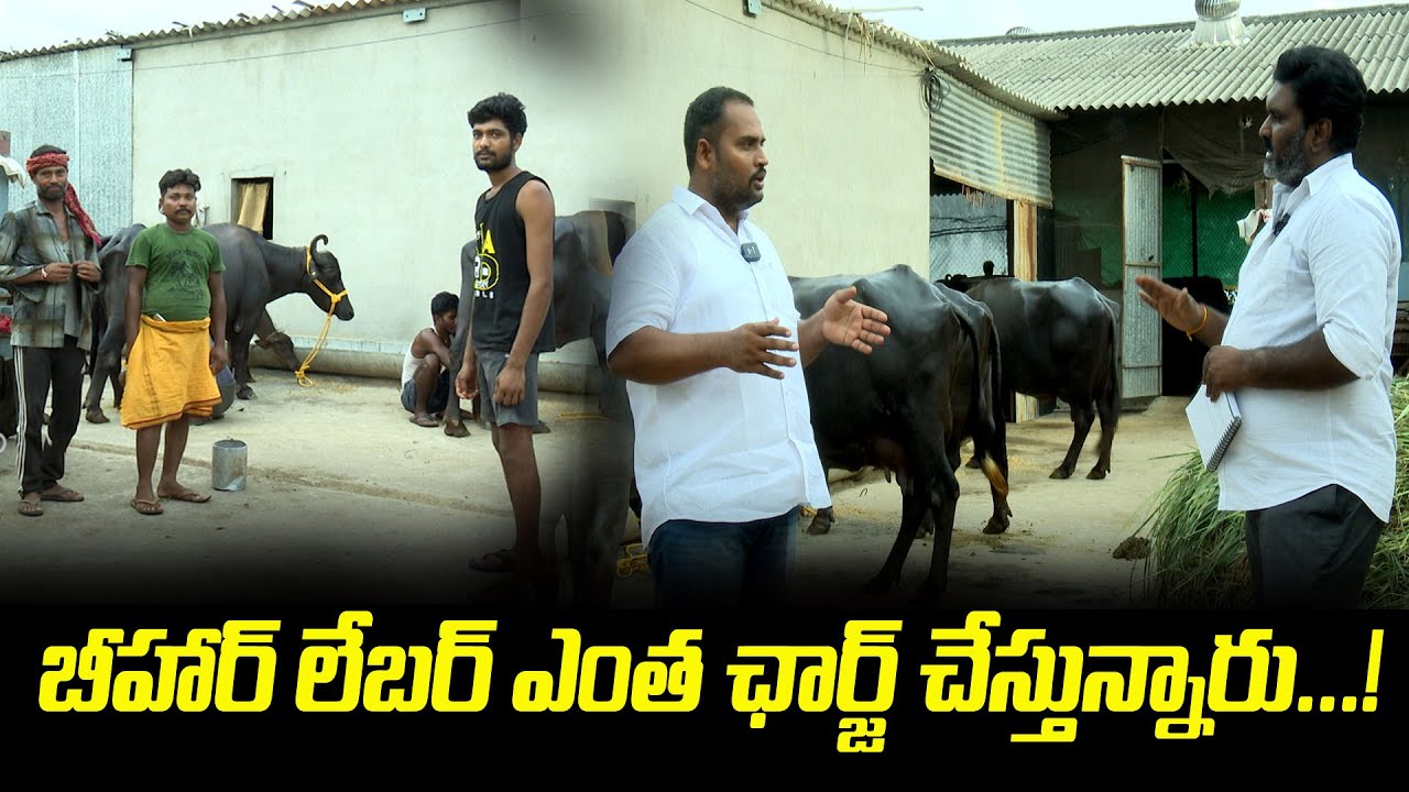 బీహార్ లేబర్ ఎంత ఛార్జ్ చేస్తున్నారు...! How much is Bihar Labor ...