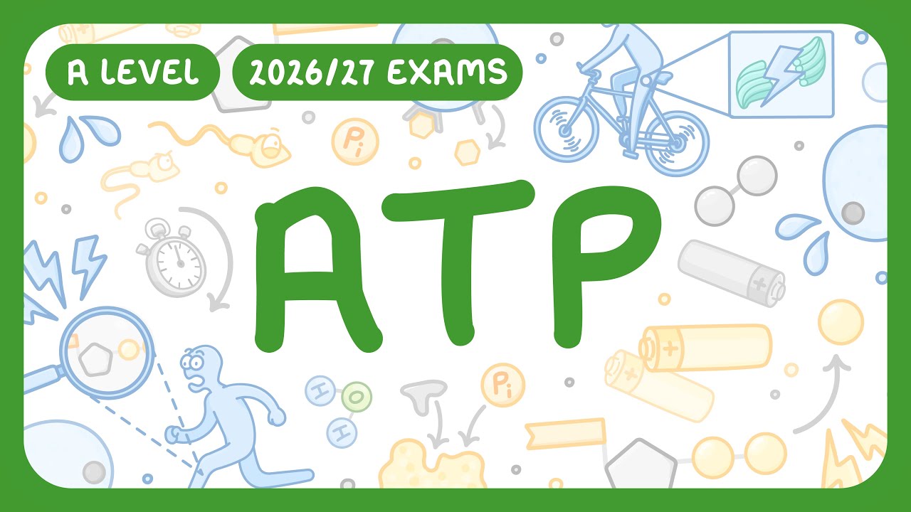 A-Level Biology - ATP - Structure | How it's Synthesised & Broken Down ...