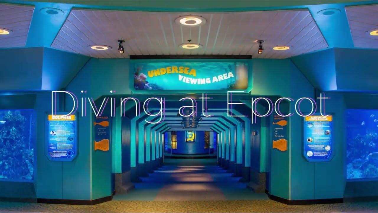 Epcot Seas Adventure - Divequest (diving in the Disney World Epcot ...
