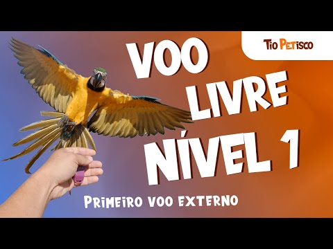 👉 Voo Livre Nível 1 | Primeiro Voo Externo de Papagaio e Arara (Passo a Passo)