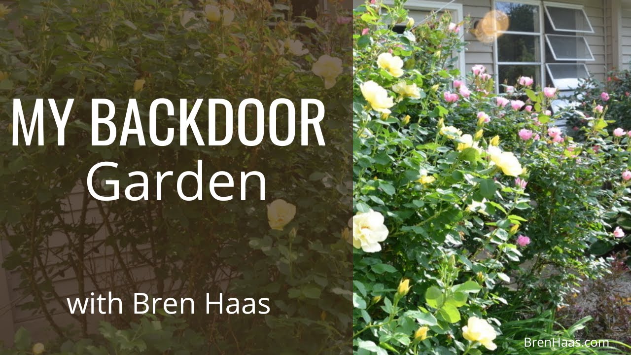 My Back Door Landscape - YouTube