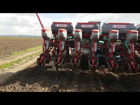 Semanat  zimbru 1430 cu comdor 6  cansa c900