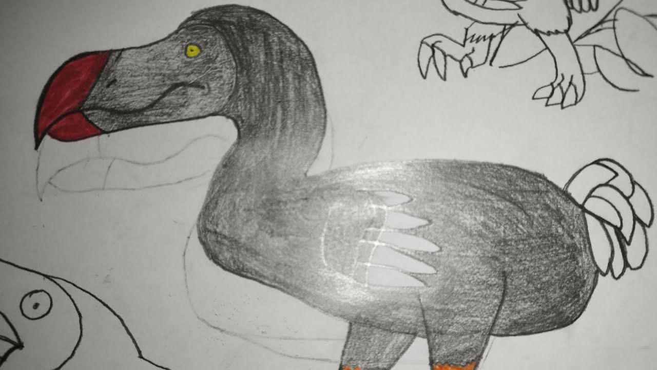 Sound Effects-RedBeak The Dodo - YouTube