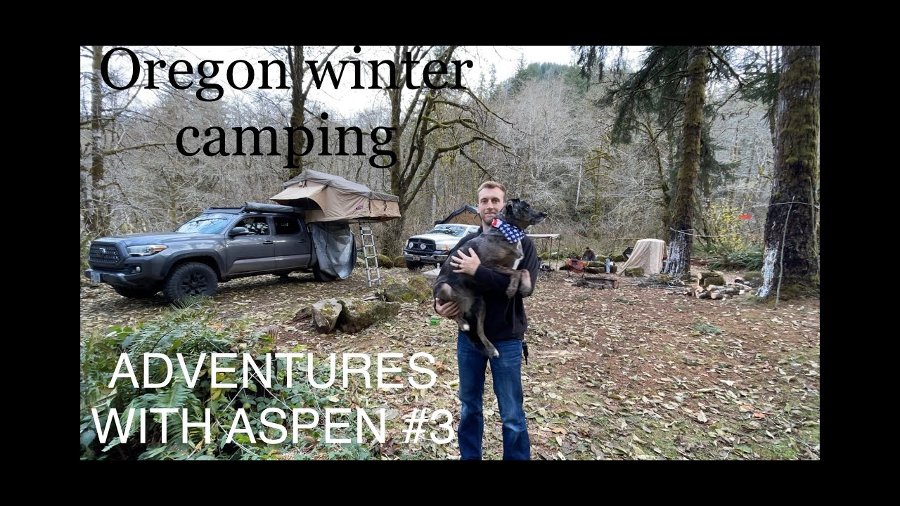 Oregon Winter Camping & Overlanding! Aspen, the dog, loved this camping ...
