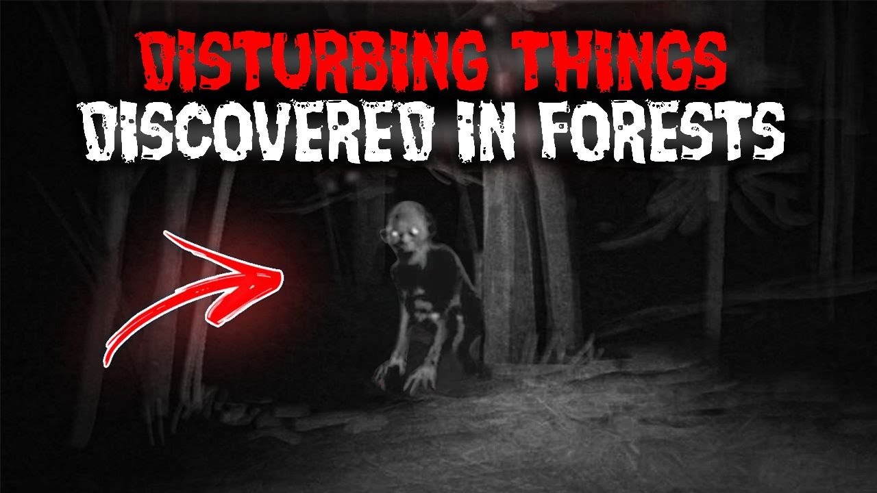 7 Most Disturbing Things Discovered in Forests - YouTube
