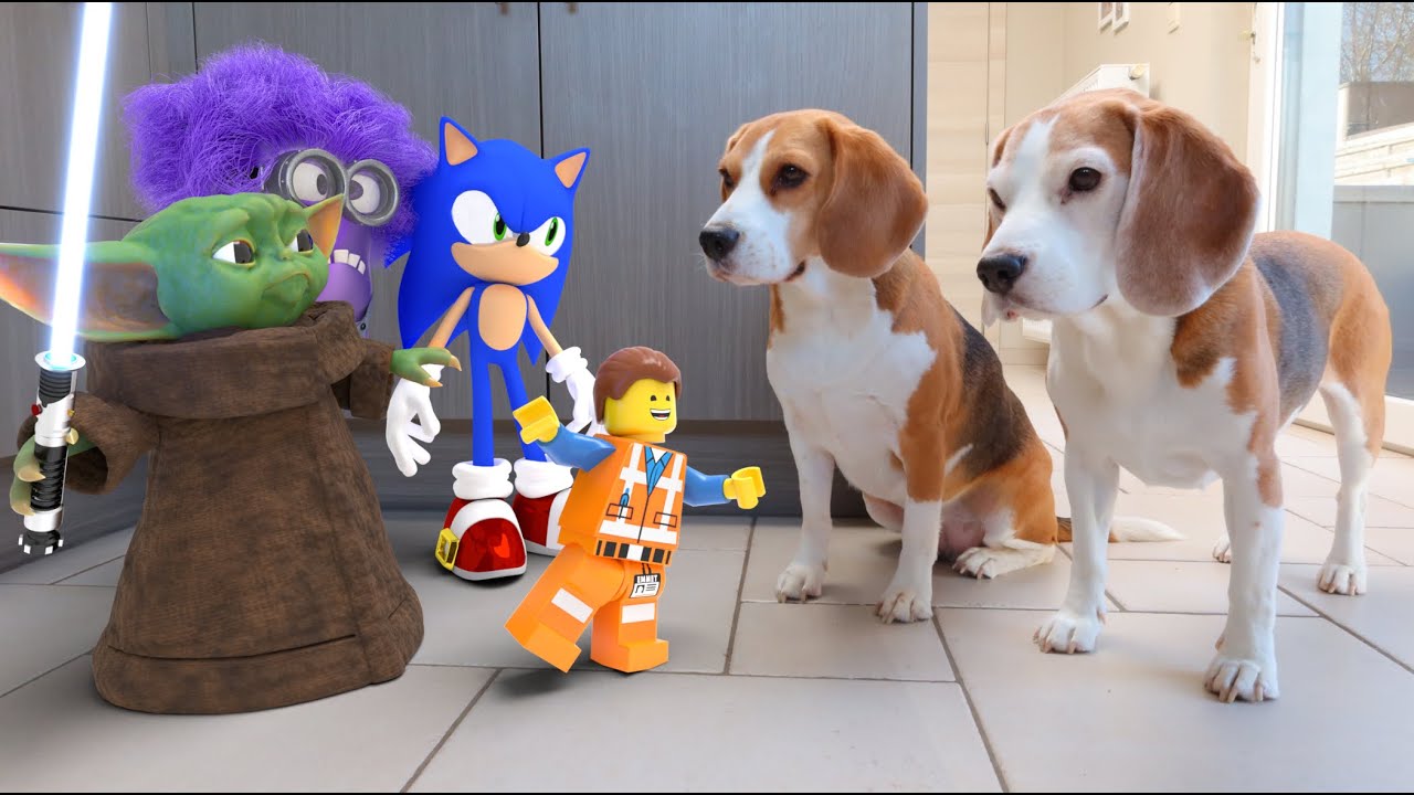Real Life Animations vs Dogs Compilation! *Must see* - YouTube