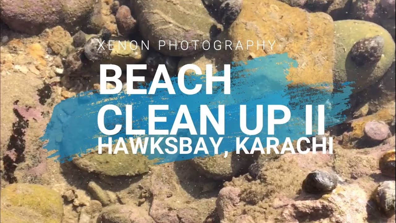 Beach Clean Up II - YouTube