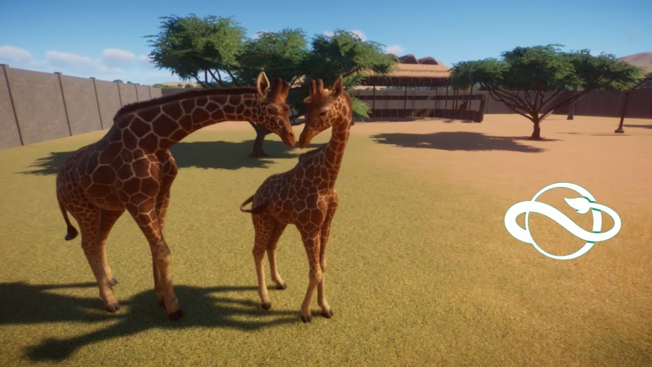 Planet Zoo Reticulated Giraffe Gameplay - YouTube