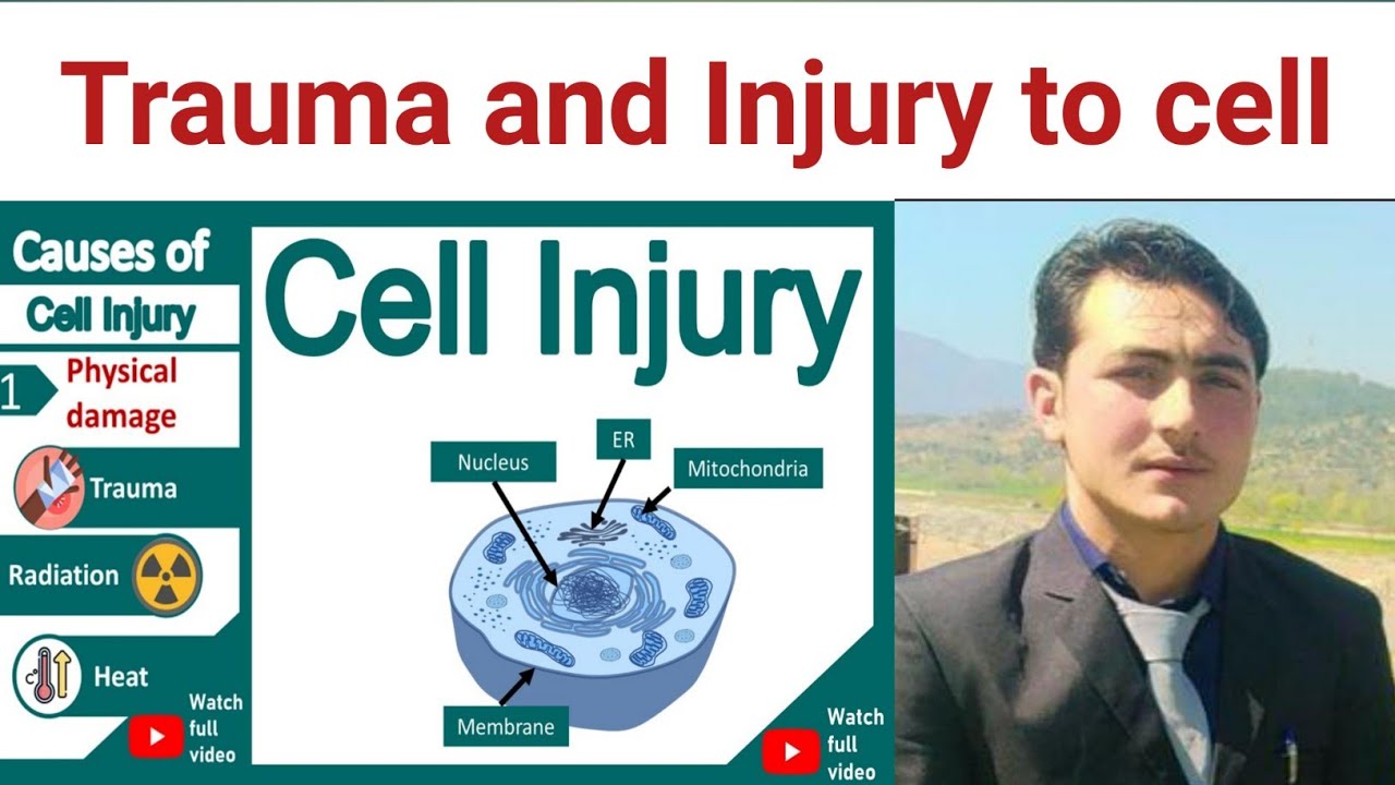 Trauma and cell injury chapter:4 part:3 pathophysiology BSN Third ...