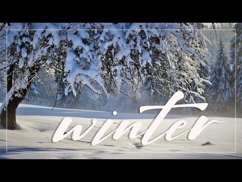 Karlı Orman ve Akan Dereler | Derin Uyku & Odak Doğa Sesi ❄️💧