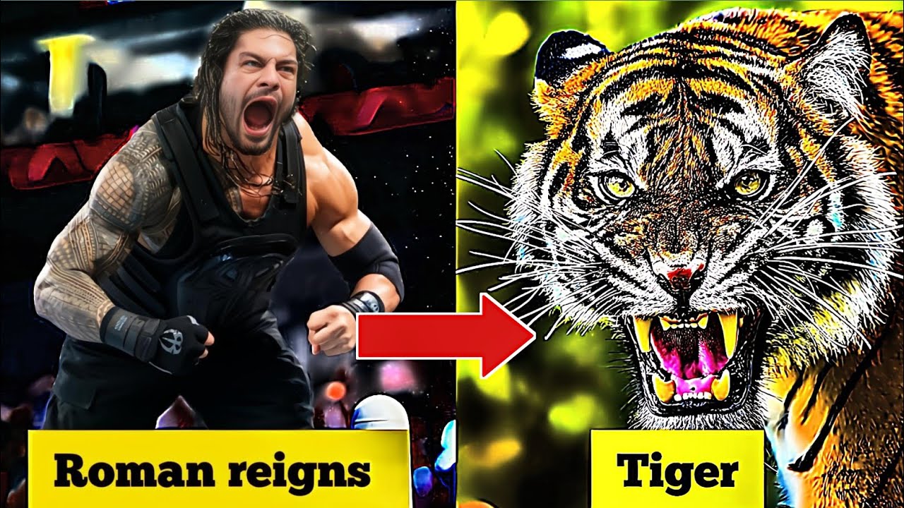 Wwe Superstars who look alike animals - YouTube