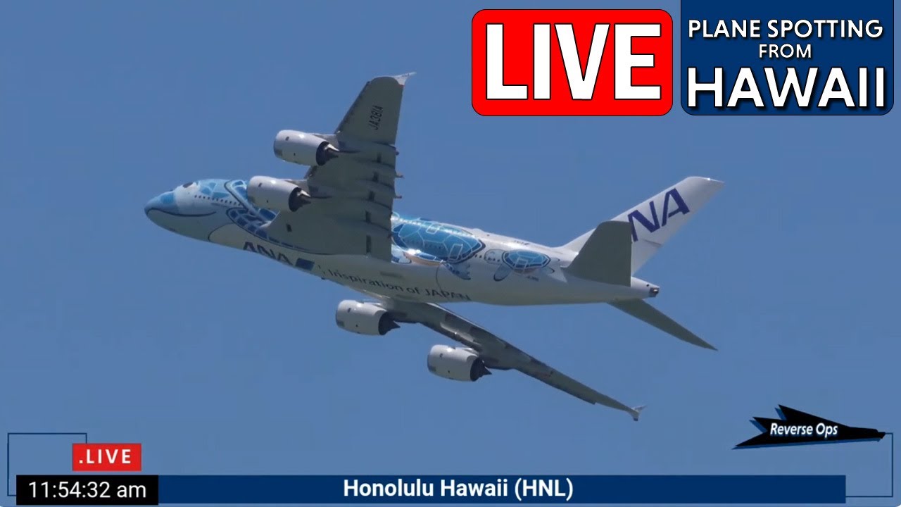 LIVE 🔴 Sunrise Plane Spotting Hawaii - A380 - Reverse Ops "Super Heavy Saturday" Livestream PHNL ...