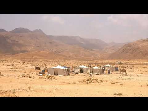 How to say "camel's milk" in the Mahri language of east Yemen - YouTube